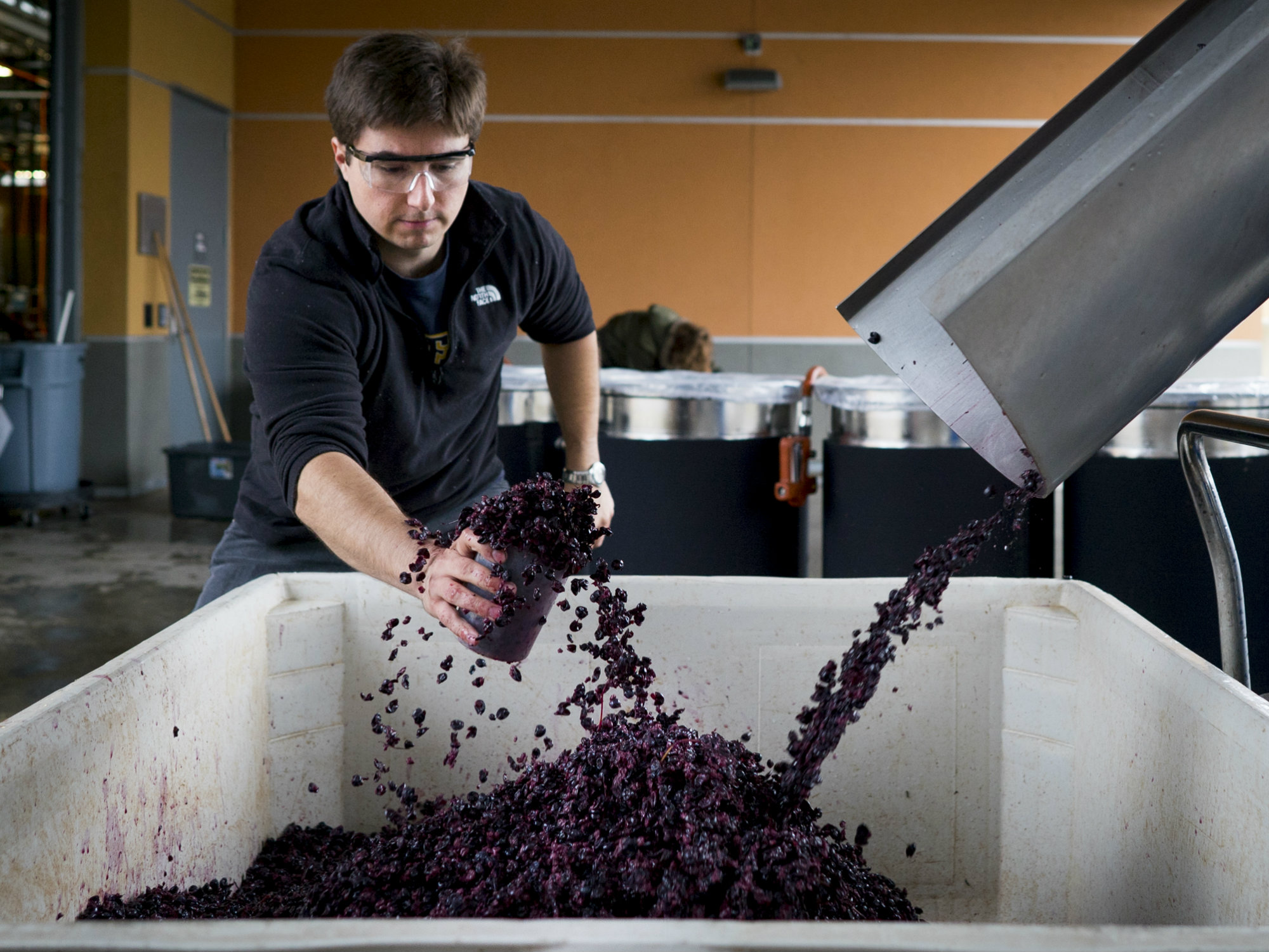 When Does Smoke Actually Result In Tainted Wine Grapes? It’s ...
