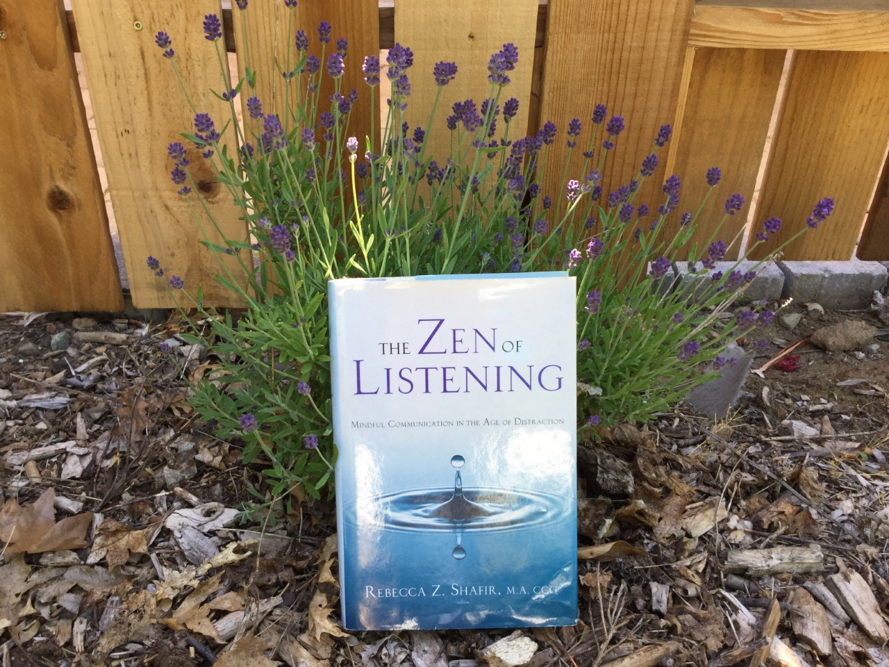 What to Read - When You're Ready to Listen - capradio.org