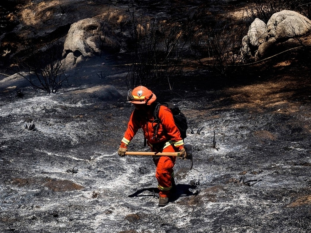 Given The Choice Between Prison Life And Fighting Wildfires, These ...