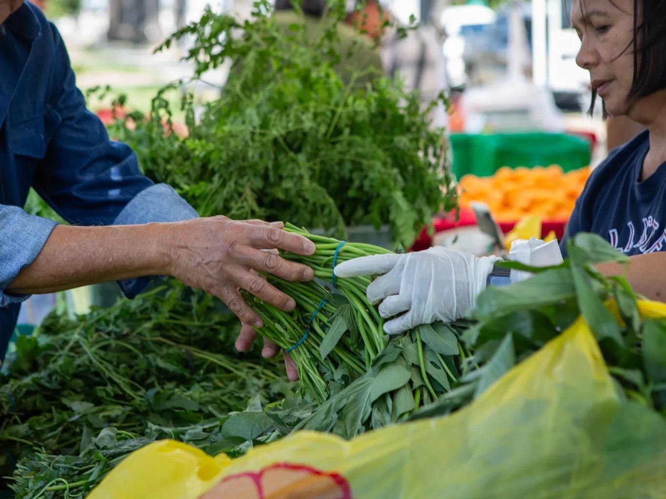Farmers Market Fairfield Ca