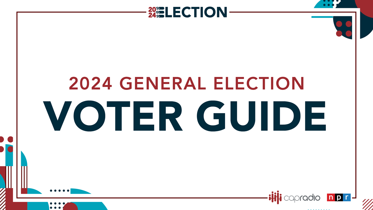 General Election 2024