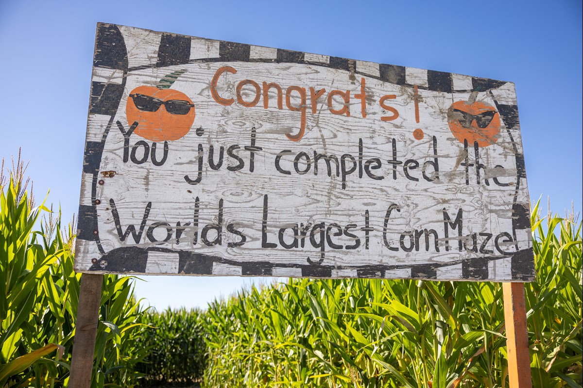 Cool Patch Pumpkins in Dixon honors America’s farmers with one of the ...