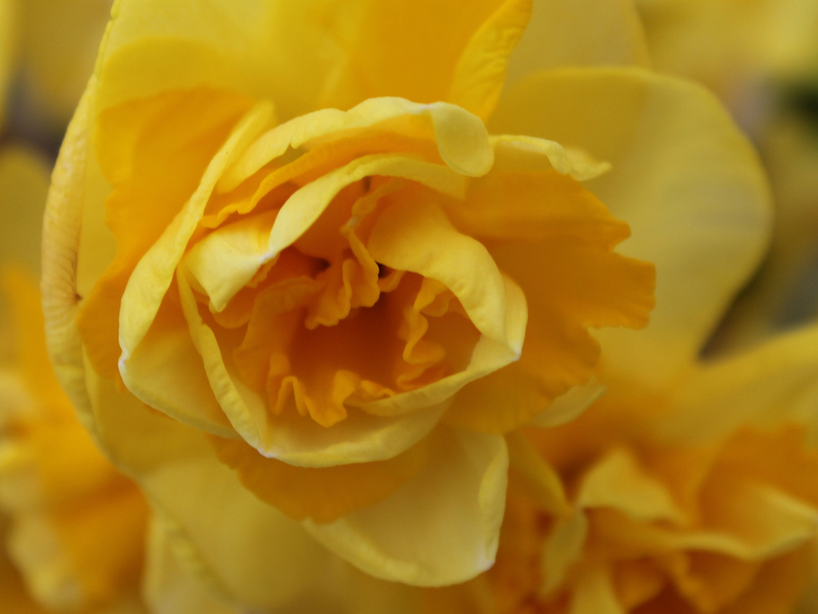 Warm Temperatures Mark First Day Of Spring - capradio.org