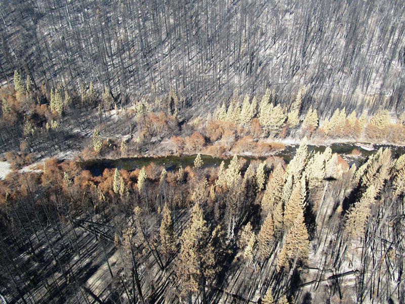 Damage From King Fire Could Get Worse - capradio.org