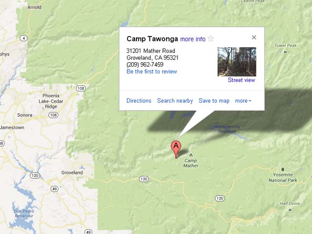 One Dead, Several Injured After Tree Falls on Youth Camp Near Yosemite ...