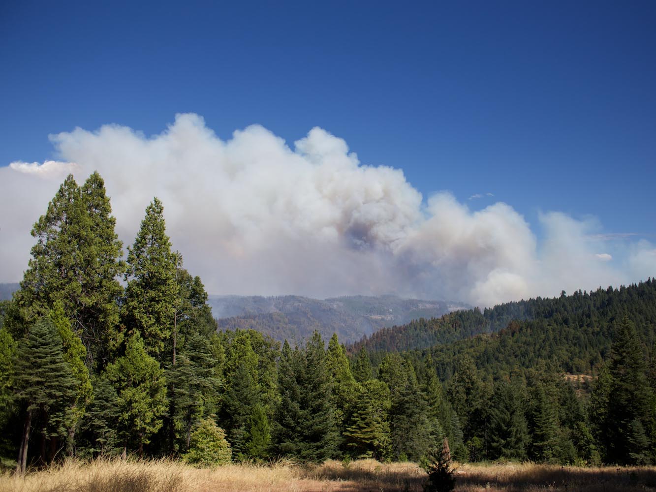California Wildfires Occurring At Higher Elevations - capradio.org