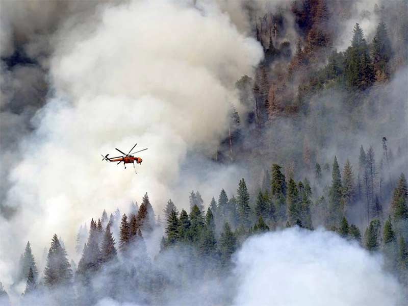 Friday Northern California Wildfire Roundup: Lowell, Wragg, Willow ...