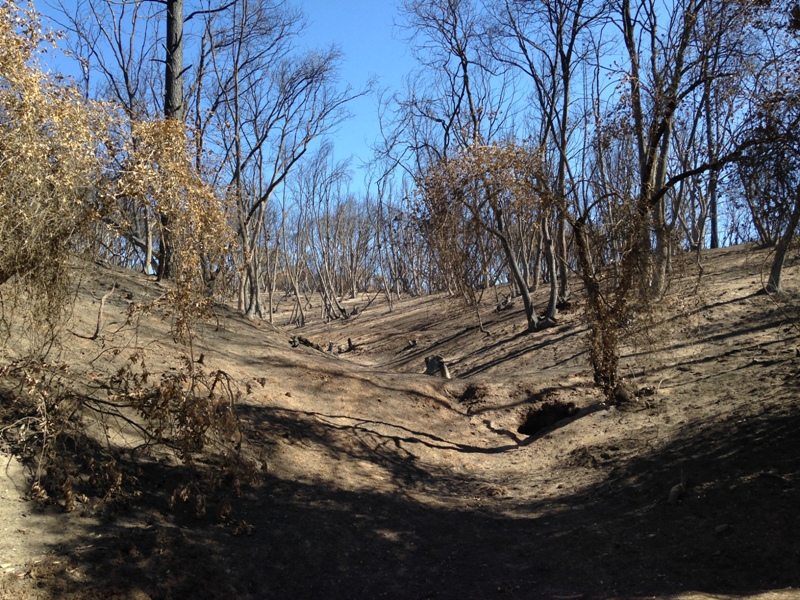 Butte Fire Now 100 Percent Contained; All Evacuations And Closures ...