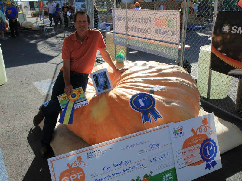 Napa Farmer Wins Giant Pumpkin Contest - capradio.org