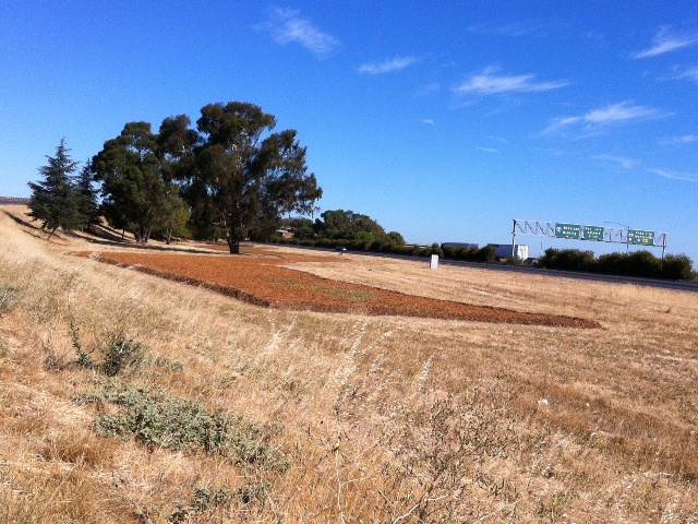 Appearance of Large Patches of Wood Chips Explained - capradio.org