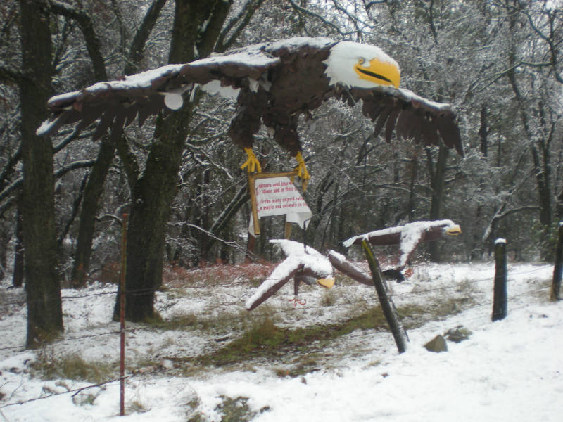 Eagle Statue A Symbol Of Gratitude In Wake Of Butte Fire - capradio.org