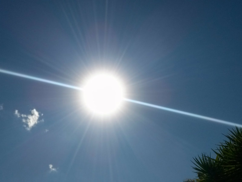 Sacramento heat wave expected to break records - capradio.org